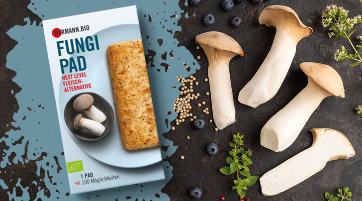 Hermann Bio Fungi Pad | CITTI Markt