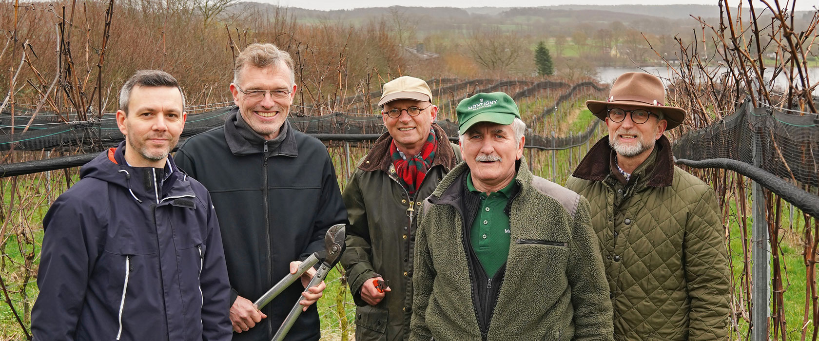 Weingut Montigny, Grebin | CITTI Markt
